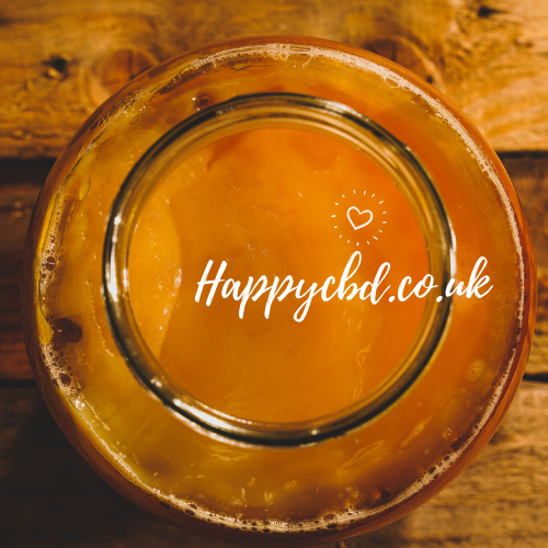 Heirloom Tibetan Kombucha scoby freeshipping - Happy Kombucha